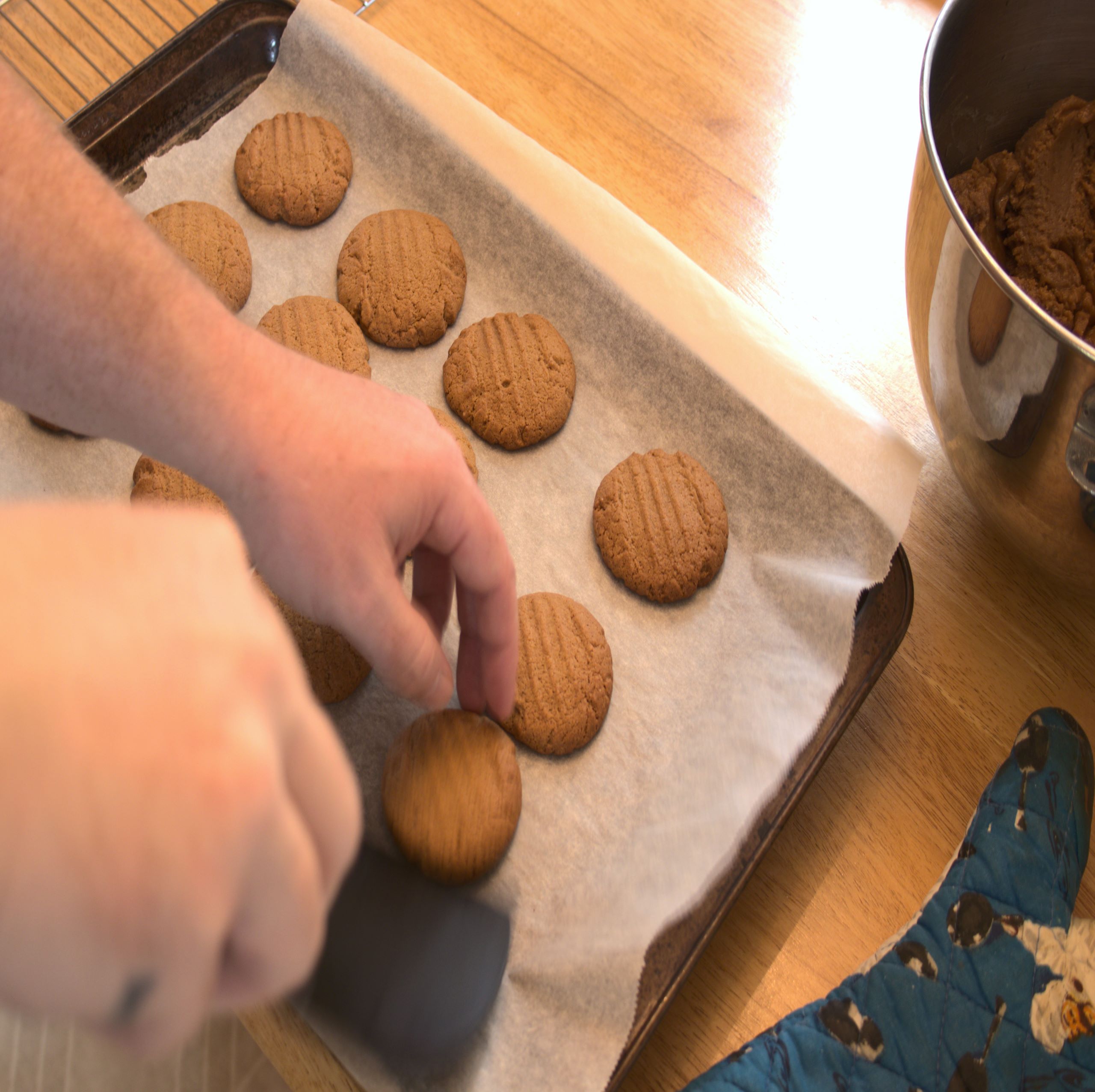 Paper Packaging Products | Proton Packaging